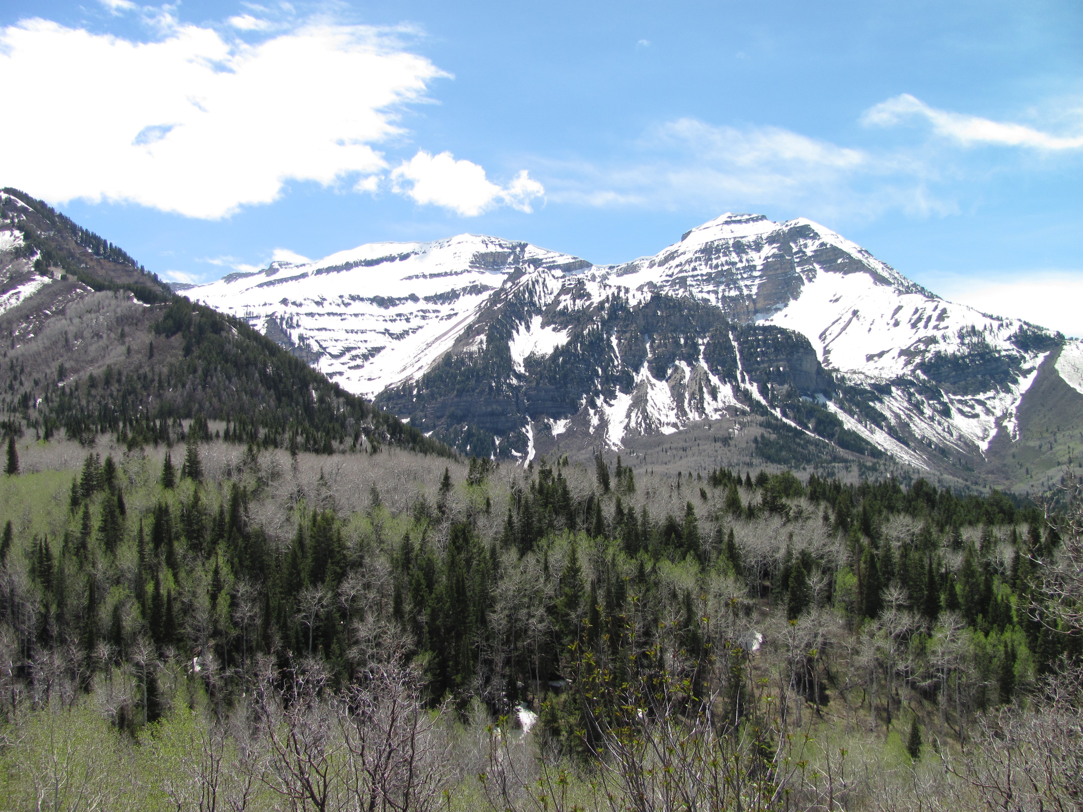 Mount Wheeler – JAMES M. WISE